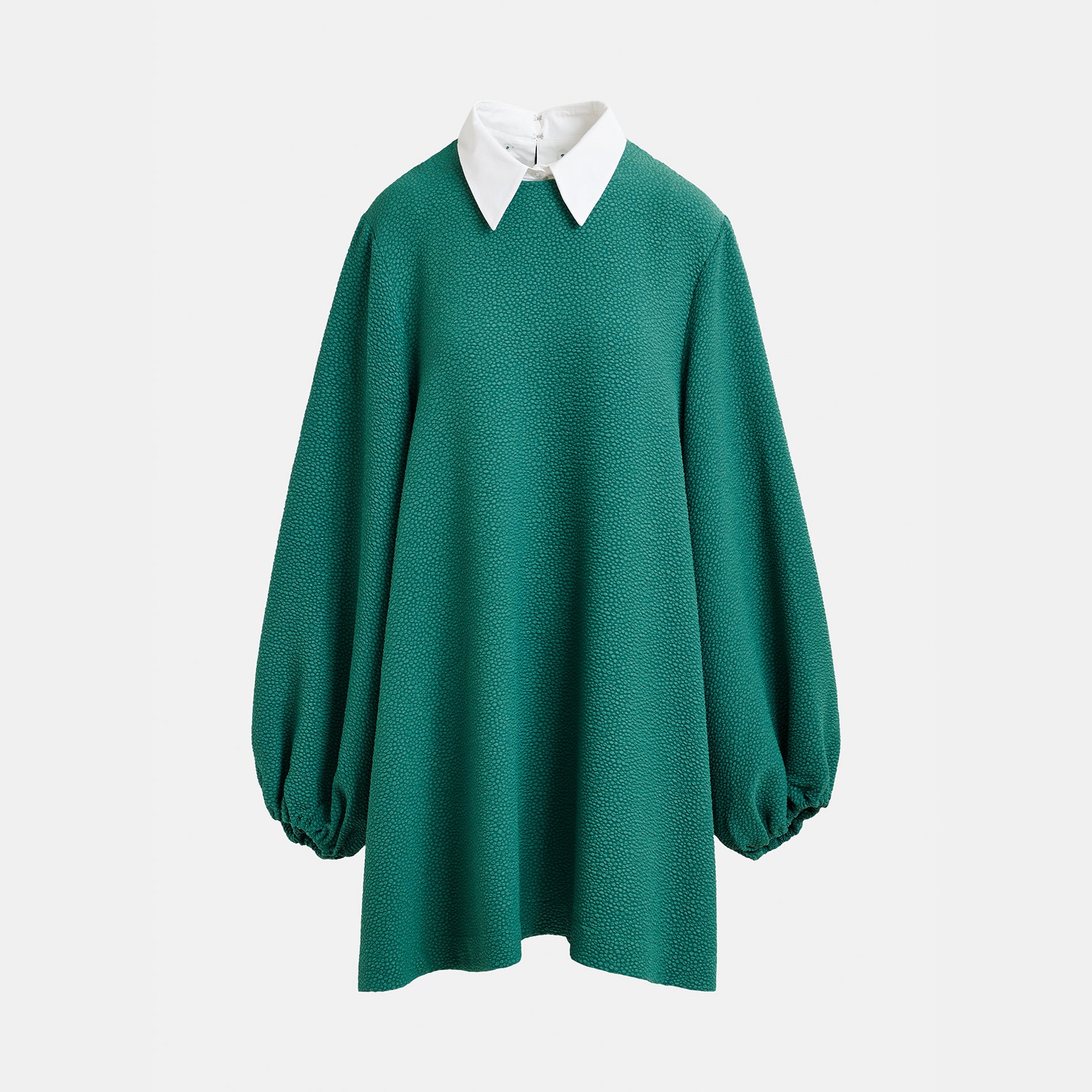 Cavells | Essentiel Antwerp Inspector A-Line Dress in Paulas Choice